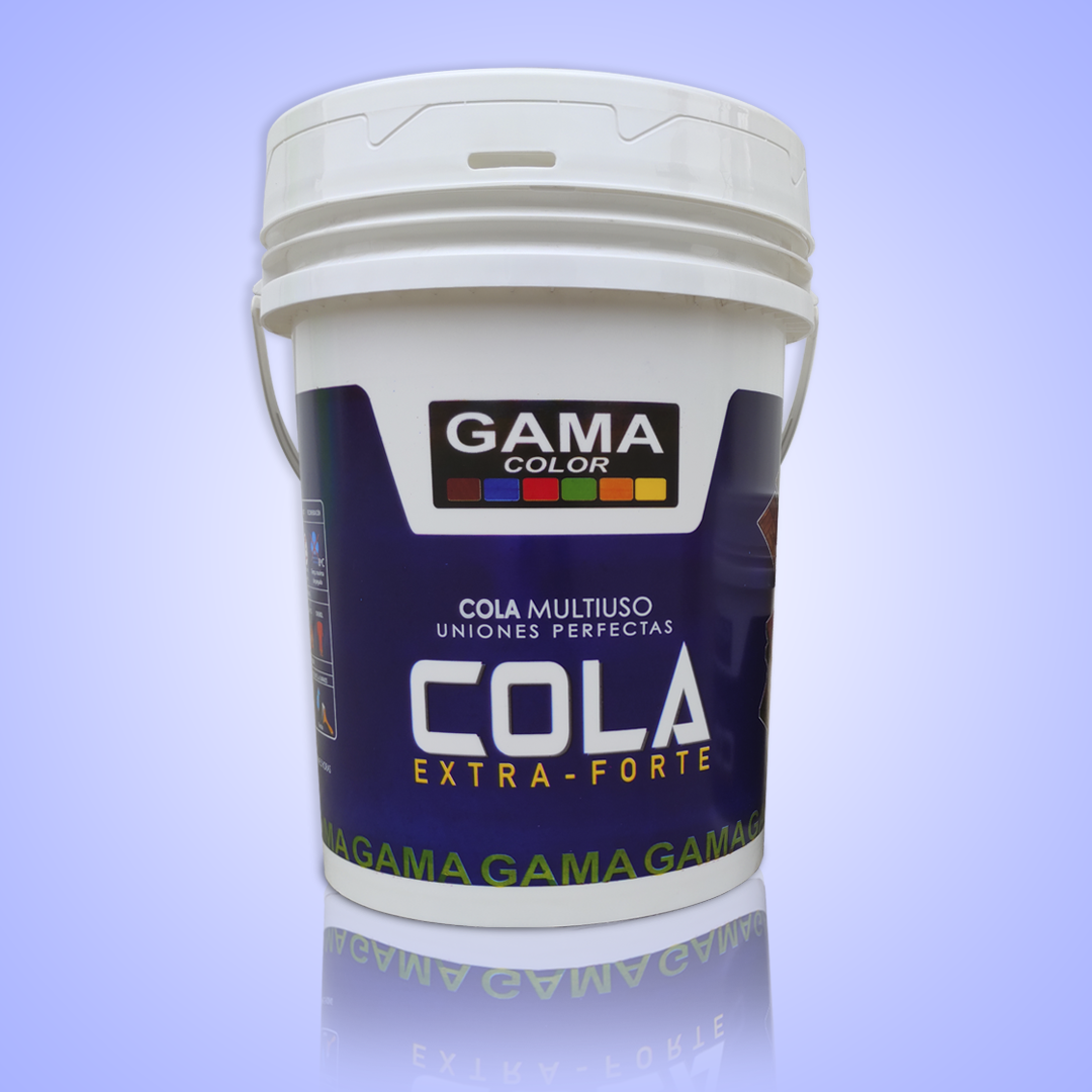 INICIO - Gama Color